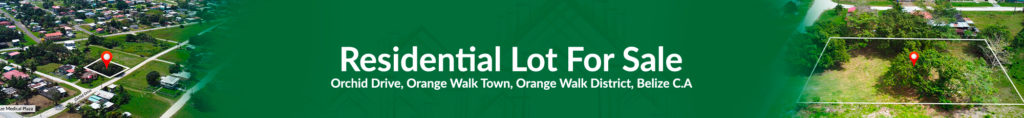 Large Residential Lot Orange Walk Town Belize Real Estate For Sale ...