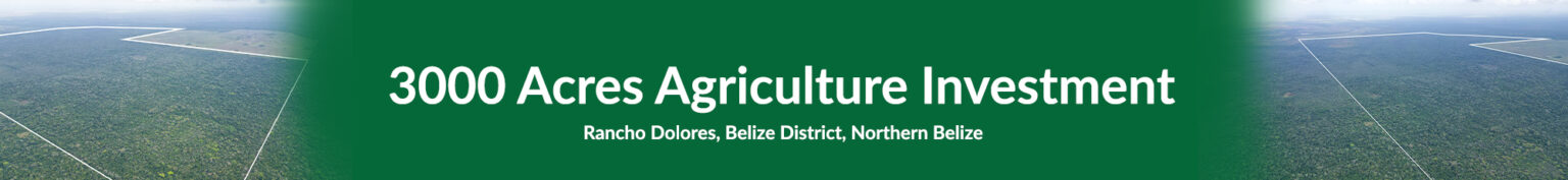 Editable-Top-Banner — ERs Real Estate Belize